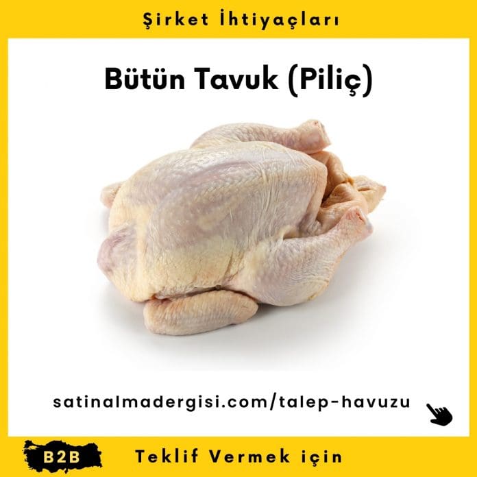 Alım Talebi: Bütün Tavuk (Piliç) | Satınalma Dergisi