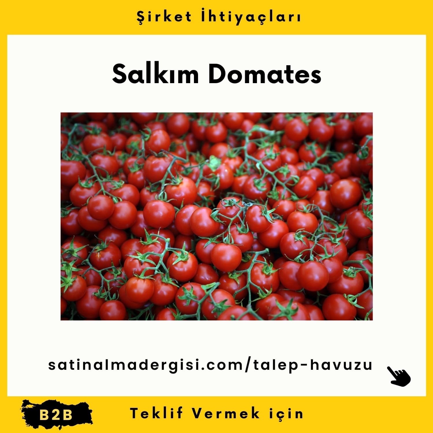 Alım Talebi: Salkım Domates | Satınalma Dergisi
